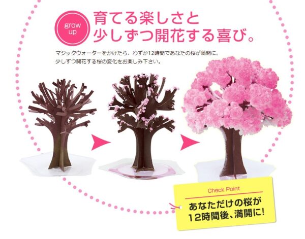 Hanami? Hana-you! Seeing Cherry Blossoms in Your Home Outside Japan ...